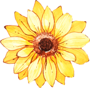 Home | Sunflower Cremation Services